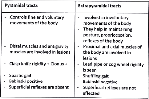 Descending Pathways: Neuroanatomy - Medical Science Optional Notes for ...