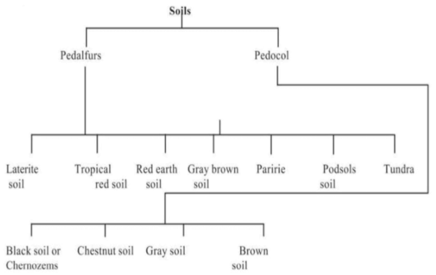 Classification and distribution of soils - Geography Optional for UPSC ...