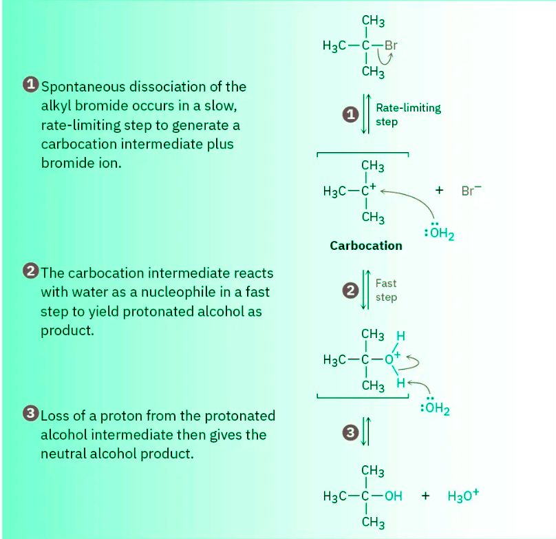 The SN1 Reaction and Characteristics of the SN1 Reaction - Chemistry ...