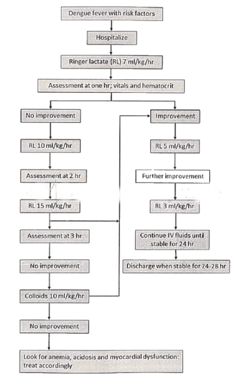 Dengue - Medical Science Optional Notes for UPSC PDF Download