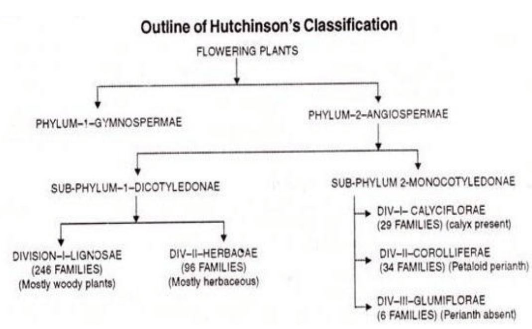 Origin and Evolution of Angiosperms - Botany Optional for UPSC PDF Download