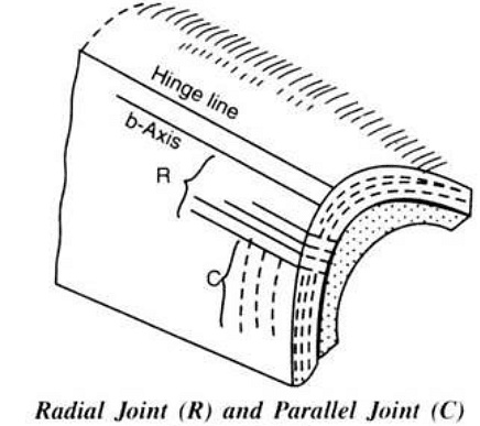 Classification of Joints - Geology Optional Notes for UPSC PDF Download