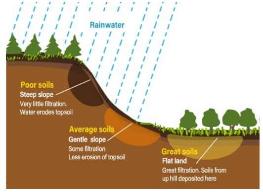 Genesis of Soils | Geography Optional for UPSC (Notes)