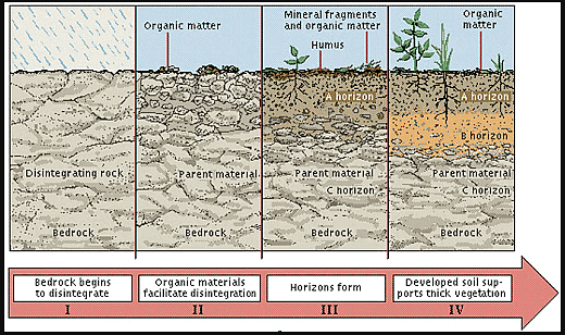 Weathering and Soil Formations - Geology Optional Notes for UPSC PDF ...