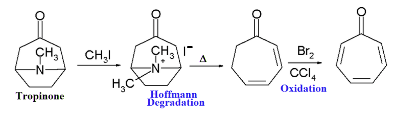 Tropones And Tropolones - Chemistry Optional Notes for UPSC PDF Download