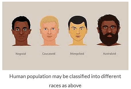 Dimensions - Social Stratification of Ethnicity and Race - Sociology ...