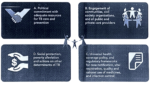 Revised National Tuberculosis Control Programme (RNTCP) - Medical ...