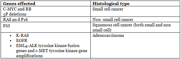 Lung Carcinoma - Medical Science Optional Notes for UPSC PDF Download
