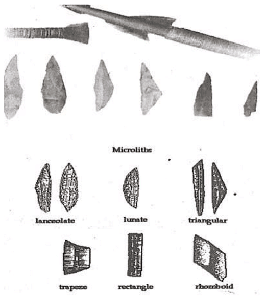 Mesolithic (Prehistoric) | Anthropology for UPSC Optional