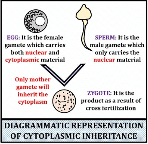 Cytoplasmic Inheritance and Genes - Botany Optional for UPSC PDF Download