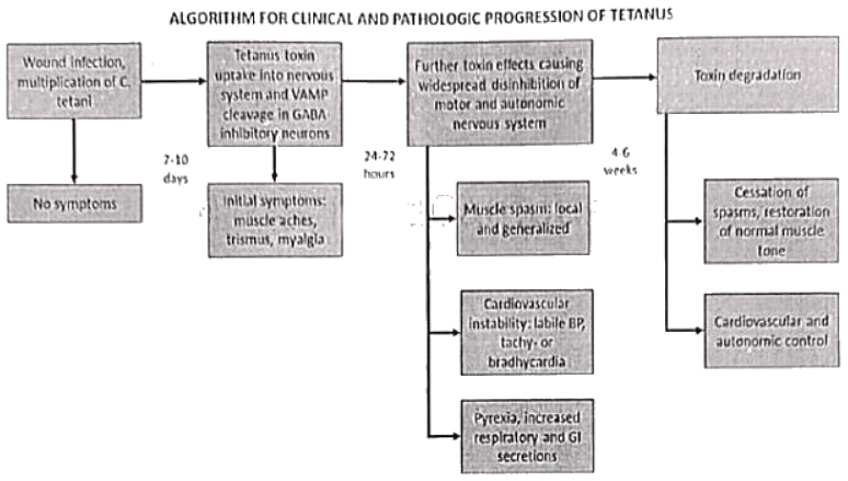 Tetanus - Medical Science Optional Notes for UPSC PDF Download