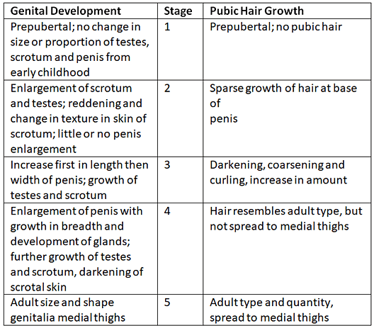 Stages of Human Growth - Anthropology Optional for UPSC PDF Download