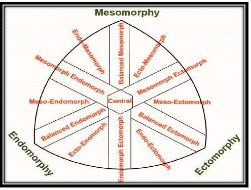 Human physique and somatotypes | Anthropology for UPSC Optional