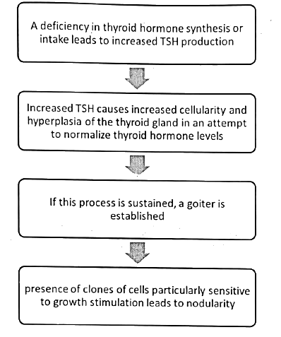 Organ Function Tests - Medical Science Optional Notes for UPSC PDF Download
