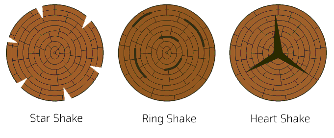 Defects In Timber Defect Types And Causes Civil Engineering Optional Notes For Upsc Pdf Download