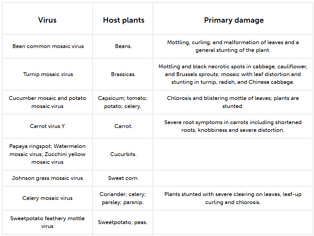 Important Crop Diseases Caused by Viruses - Botany Optional for UPSC ...