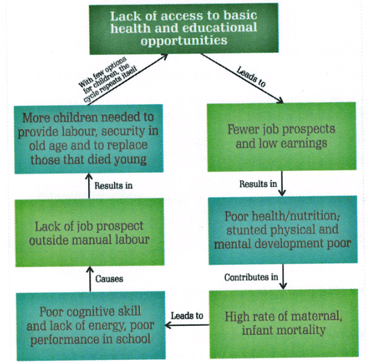 Population and Associated Issues - Geography Optional for UPSC (Notes ...
