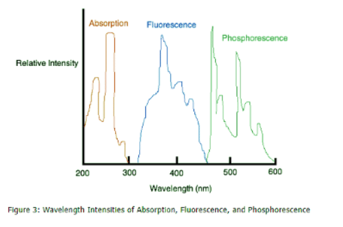 Fluorescence and Phosphorescence - Chemistry Optional Notes for UPSC ...