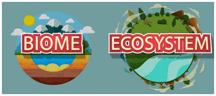 Ecosystem: Concept - Zoology Optional Notes for UPSC PDF Download