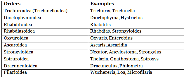 Nemathelminthes: Overview - Zoology Optional Notes for UPSC PDF Download