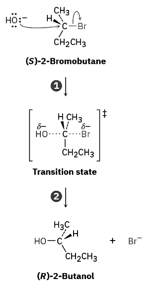 The SN2 Reaction and Characteristics of the SN2 Reaction - Chemistry ...