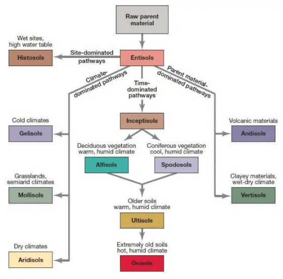 Classification and distribution of soils - Geography Optional for UPSC ...