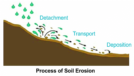 Soil Erosion and its Management - 1 - Agriculture Optional Notes for ...
