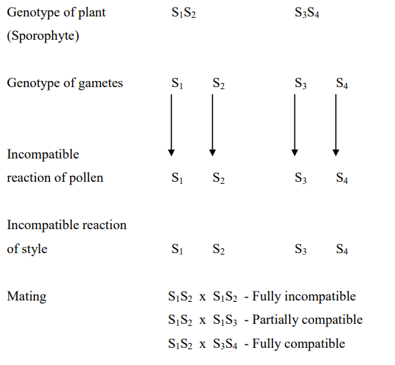 Incompatibility and Male Sterility and their Utilization in Crop ...