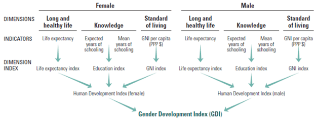 Human Development Index - Geography Optional for UPSC (Notes) PDF Download