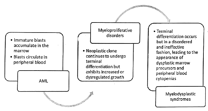 AML: Pathology - Medical Science Optional Notes for UPSC PDF Download