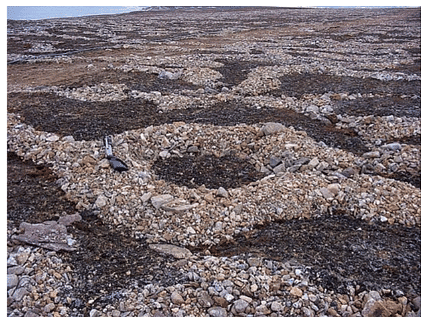 Landforms - Geology Optional Notes for UPSC PDF Download