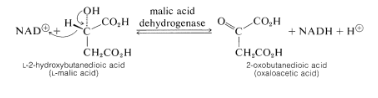 Oxidation of Alcohols: CrO3, PCC, DMP - Chemistry Optional Notes for ...