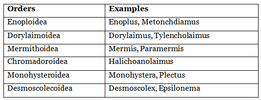 Nemathelminthes: Overview - Zoology Optional Notes for UPSC PDF Download