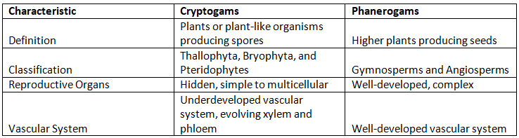 Phanerogams: Definition, Characteristics and Importance - Botany ...