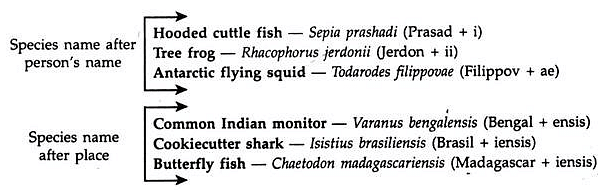 International Code of Zoological Nomenclature - Zoology Optional Notes ...