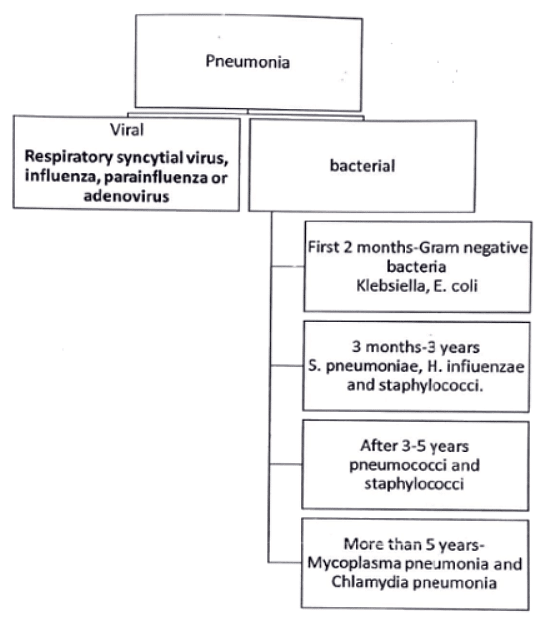 Bronchopneumonia and ARI - Medical Science Optional Notes for UPSC PDF ...