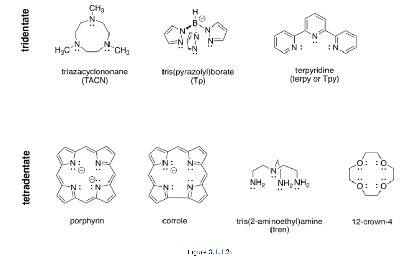 Chelating Ligands and the Chelate Effect - Chemistry Optional Notes for ...