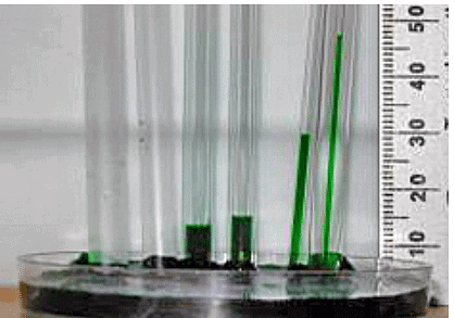 Wetting Agents - Chemistry Optional Notes for UPSC PDF Download