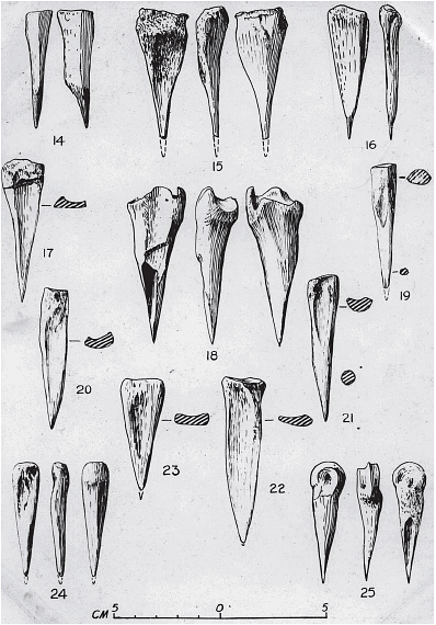 The Geographical Setting & Pre-historic Cultures of India - Educate Odisha