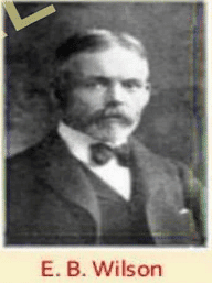 B-Chromosomes: Structure, Behaviour and Significance - Botany Optional ...