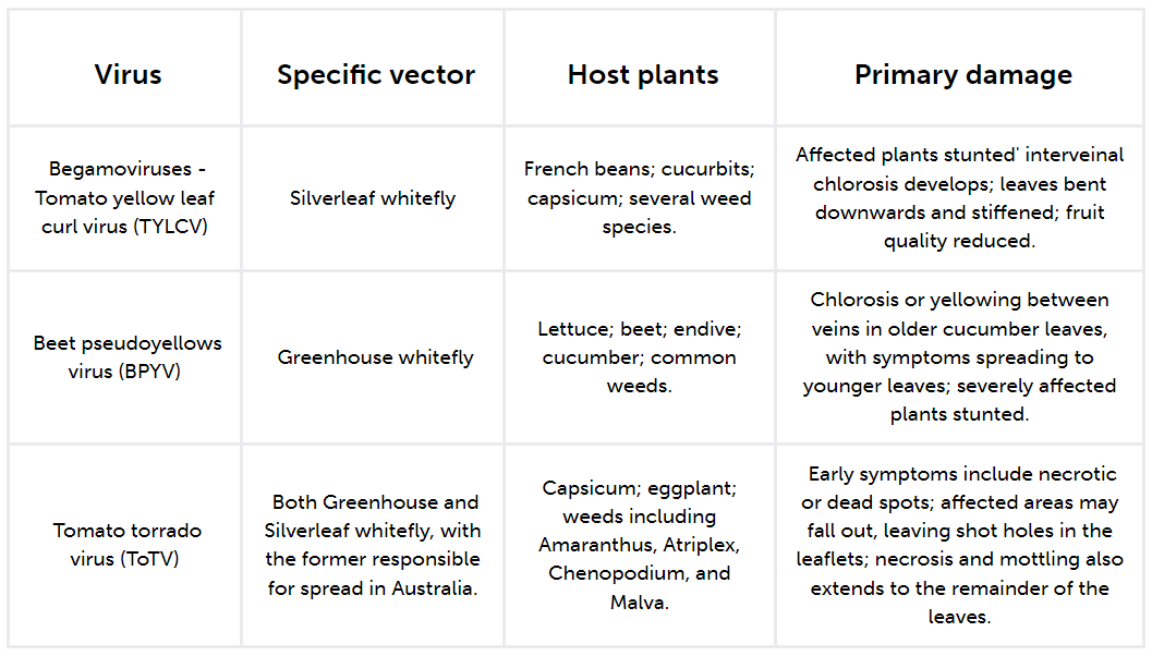 Important Crop Diseases Caused by Viruses - Botany Optional for UPSC ...