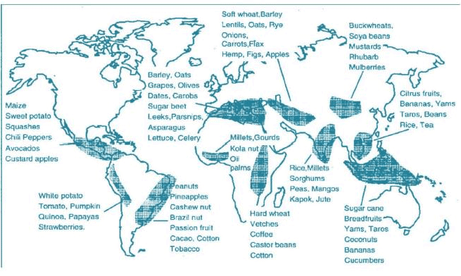 Major Gene Pool Centres - Geography Optional for UPSC (Notes) PDF Download