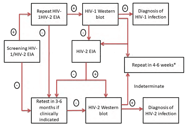 HIV Structure - Medical Science Optional Notes for UPSC PDF Download
