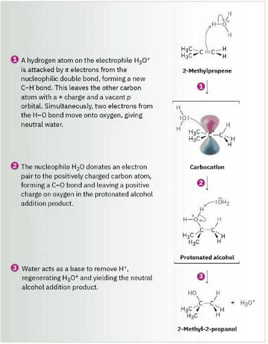 Hydration of Alkenes - Addition of H₂O by Oxymercuration - Chemistry ...