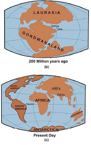 Continental Drift - Geology Optional Notes for UPSC PDF Download