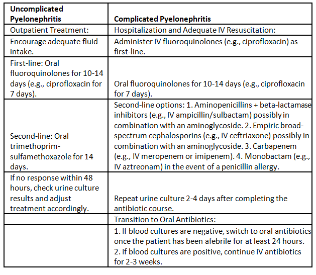 Acute pyelonephritis - Medical Science Optional Notes for UPSC PDF Download