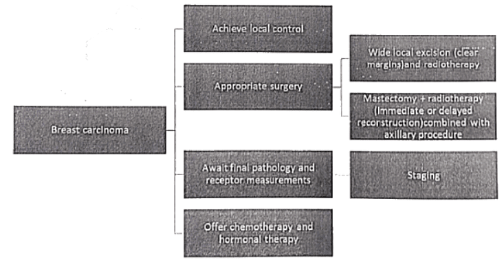 Breast - Medical Science Optional Notes for UPSC PDF Download