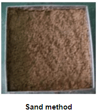 Physical Purity and Seed Germination Test - Agriculture Optional Notes ...