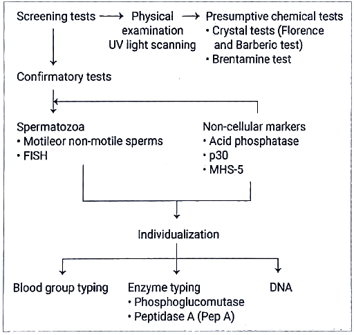 Seminal Stains - Medical Science Optional Notes for UPSC PDF Download