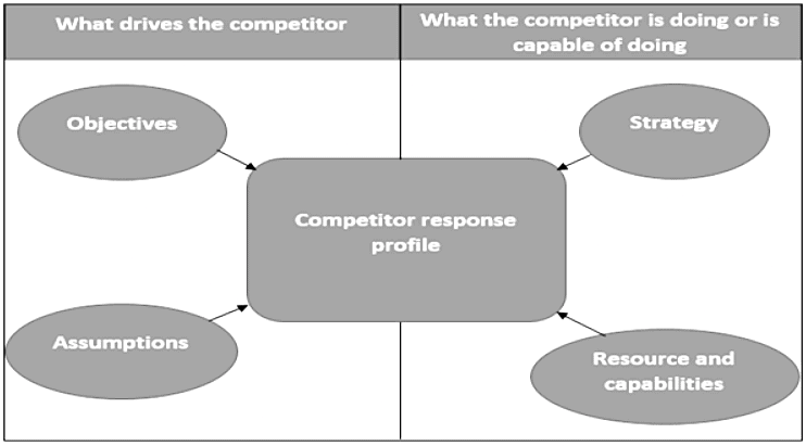 Analyzing Competition - Management Optional Notes for UPSC PDF Download